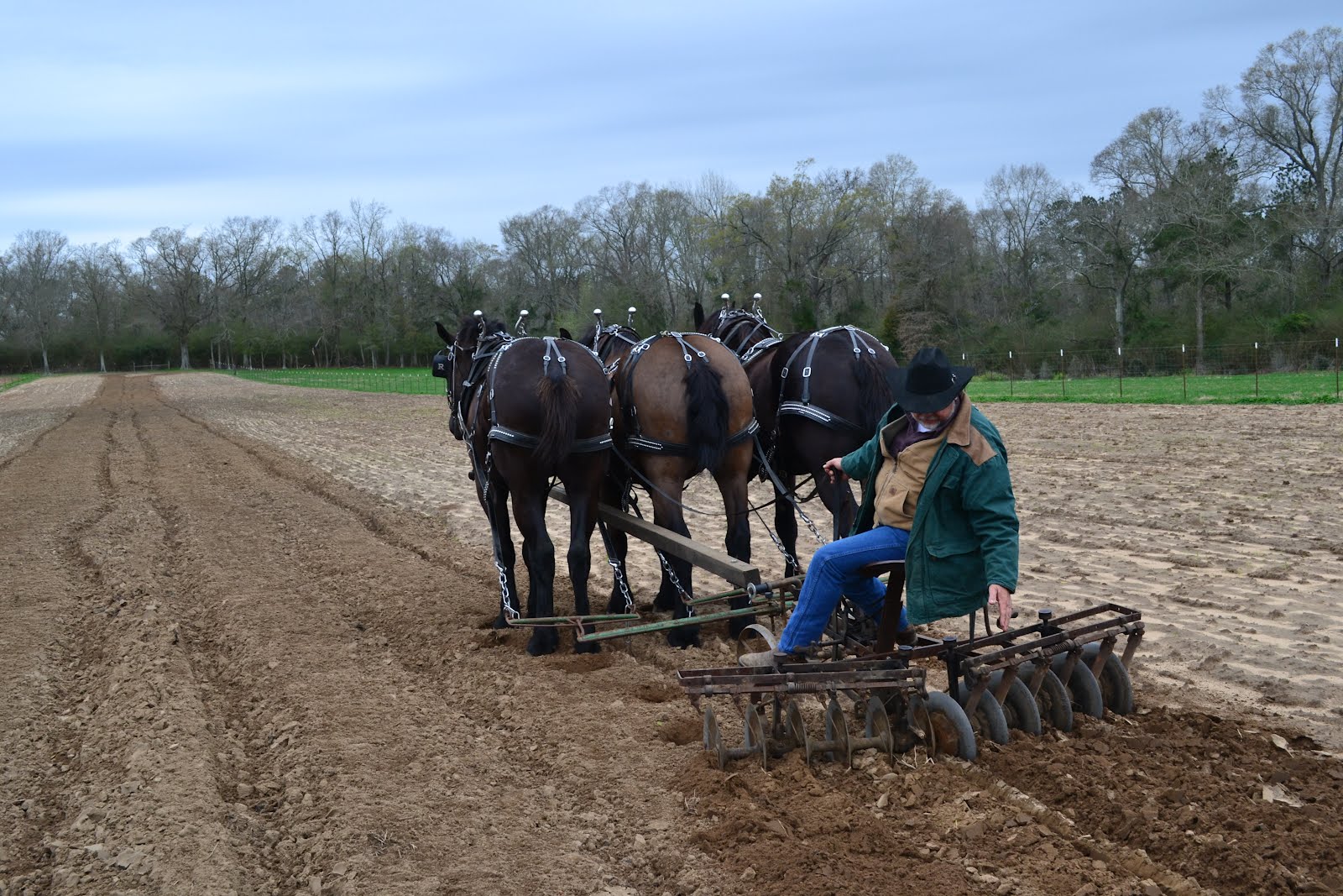 Worldbuilding XII: Farming part 2: Plowing - Fimfiction