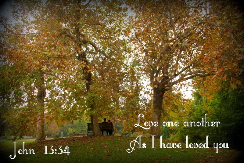 Love one another as I have loved you