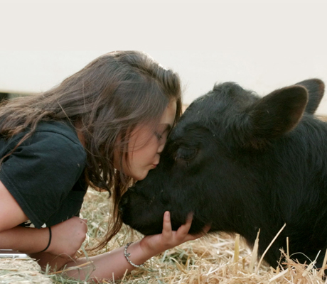 Ferdinand - 2017 animated movie - my thoughts - Lifestyle & DIY blogger ...