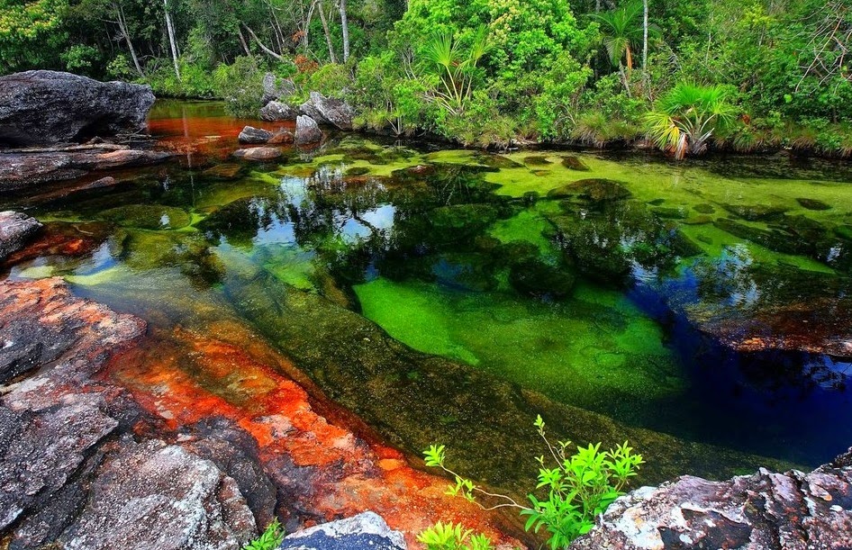 Liquid Rainbow ~ Nature Conservancy