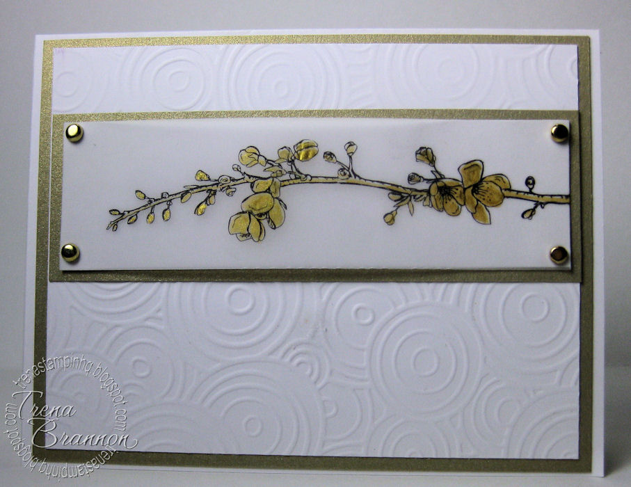 Trena's Stampin' Headquarters: New Sheena Sneak Peak!