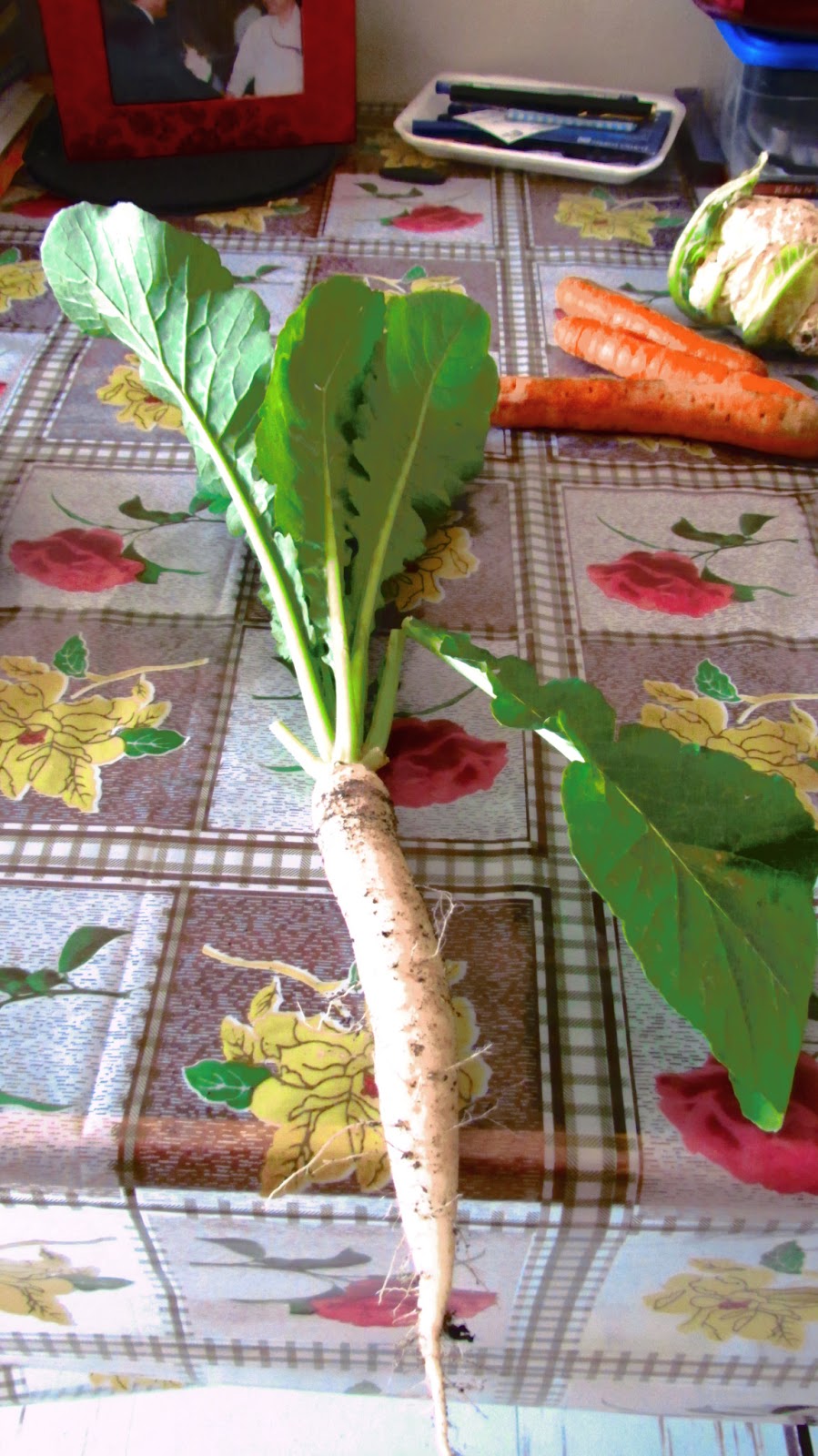 With Love from Mom's Kitchen: Colorful - Crunchy Salad