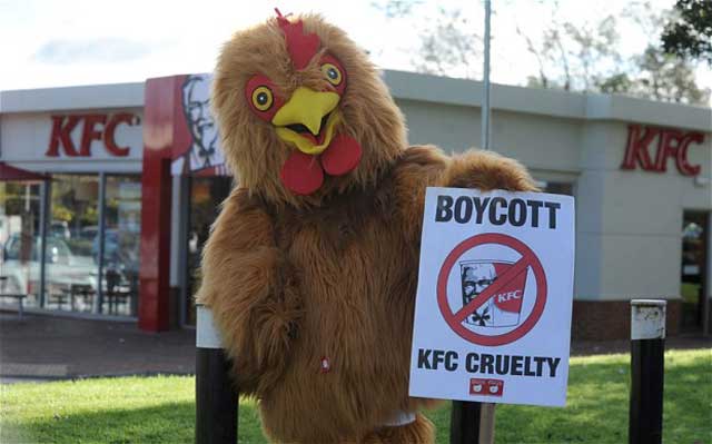 Nothing To Do With Arbroath: KFC animal rights campaigner abandons ...