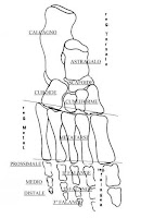 Parnails Corner: Scheletro del Piede