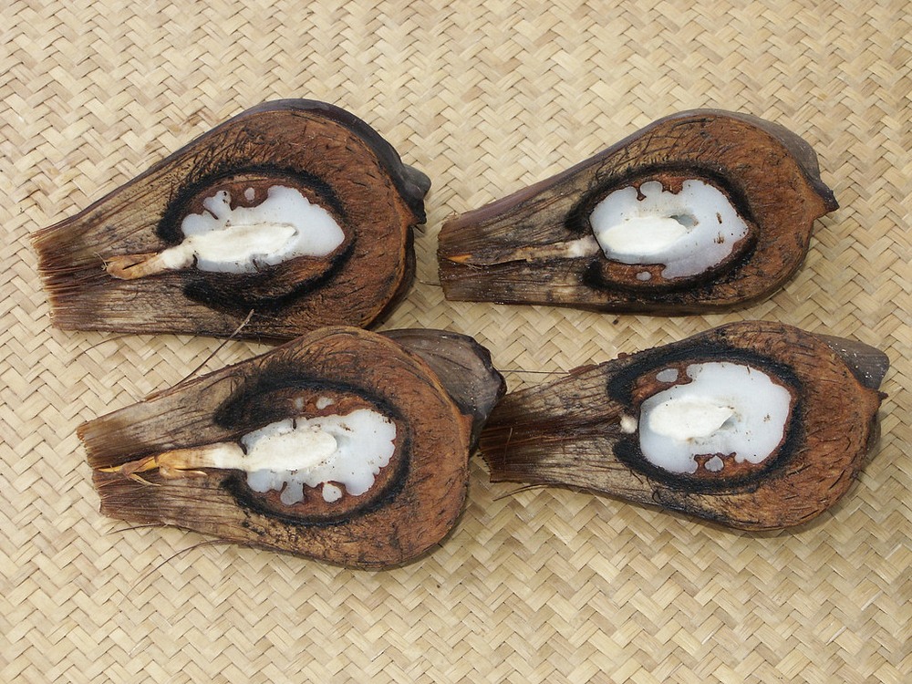 Viviparous Germination