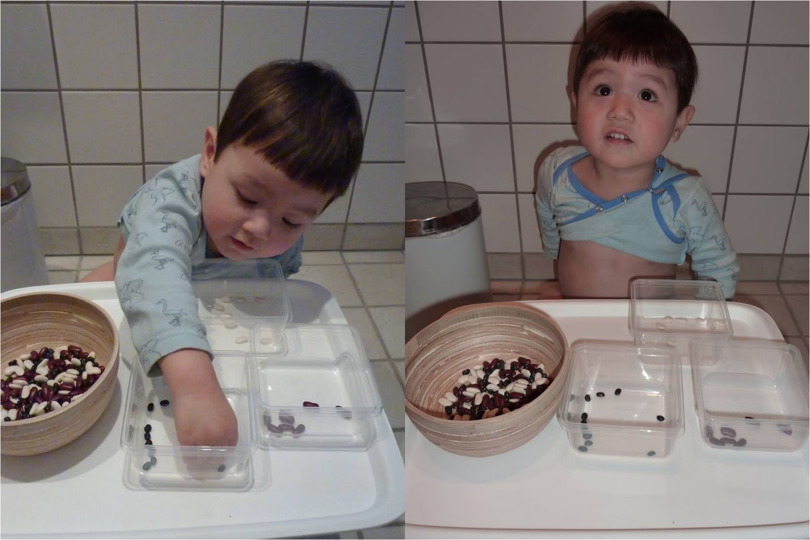 Family FECS: Montessori Activity: Sorting Beans/ Bønnersortering/豆豆分类 ...