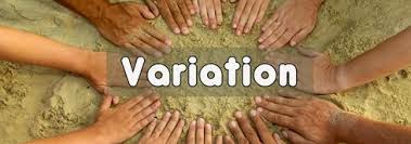 Coach Mac's Play Fast Football: Bootleg/Waggle Variations