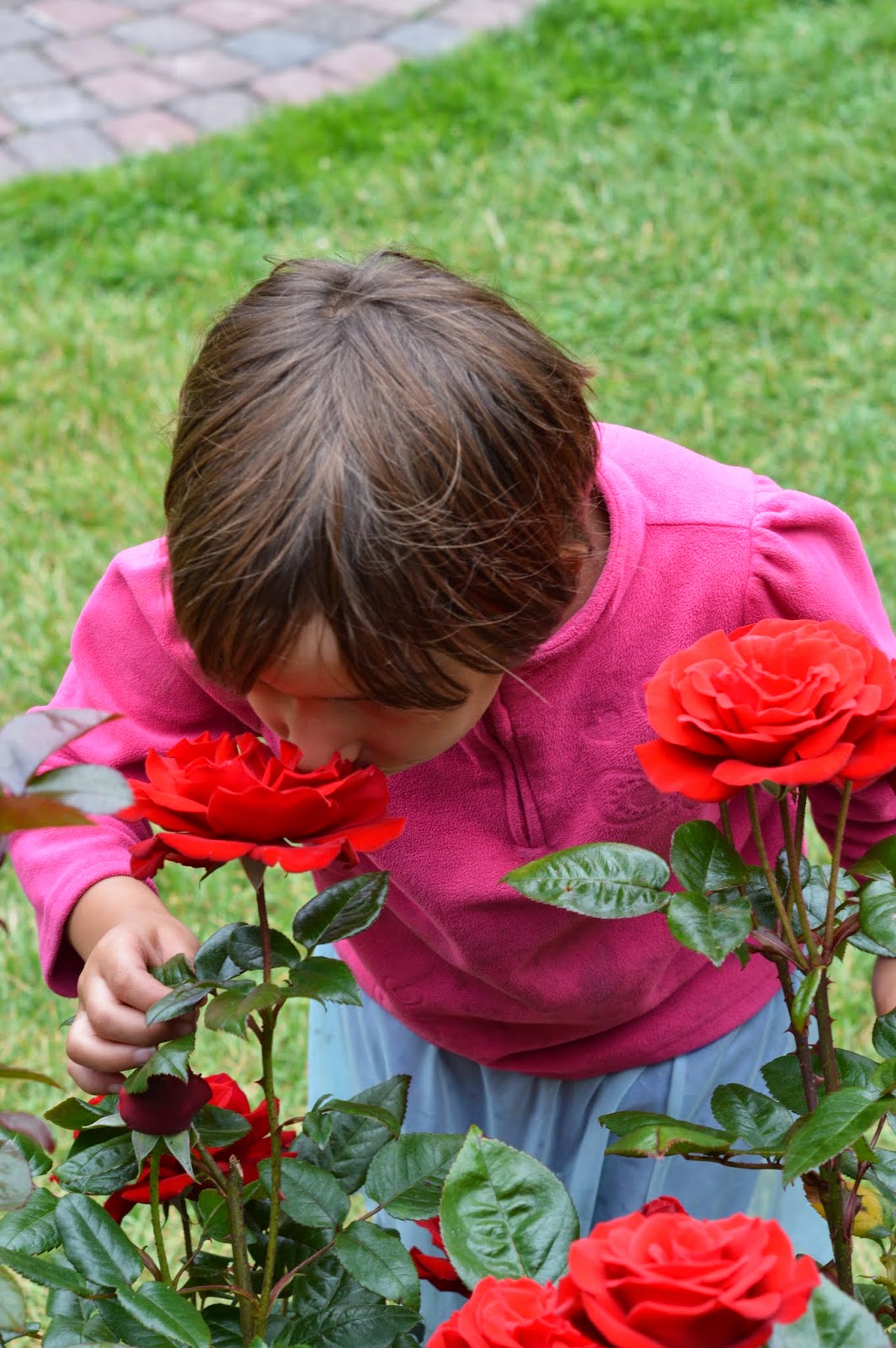 The Pless People: Sunset Beach Botanical Gardens