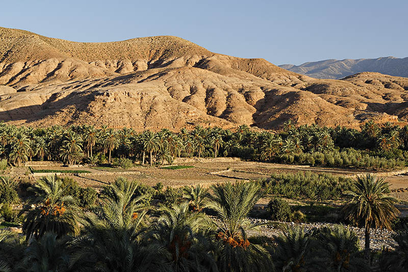 Article plus récent Article plus ancien Accueil