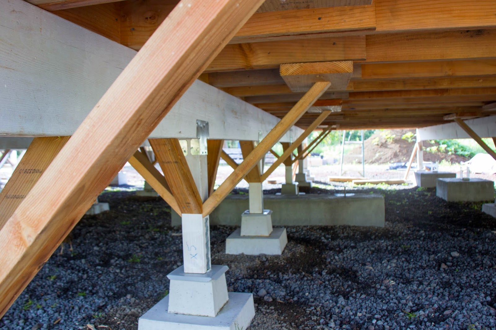 Big Island Living: Framing and Ohia Post Preparation