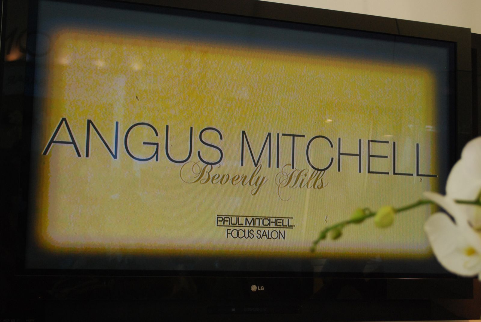 November Grey: Interview w/ Angus Mitchell! & Red Cross Relief for Joplin