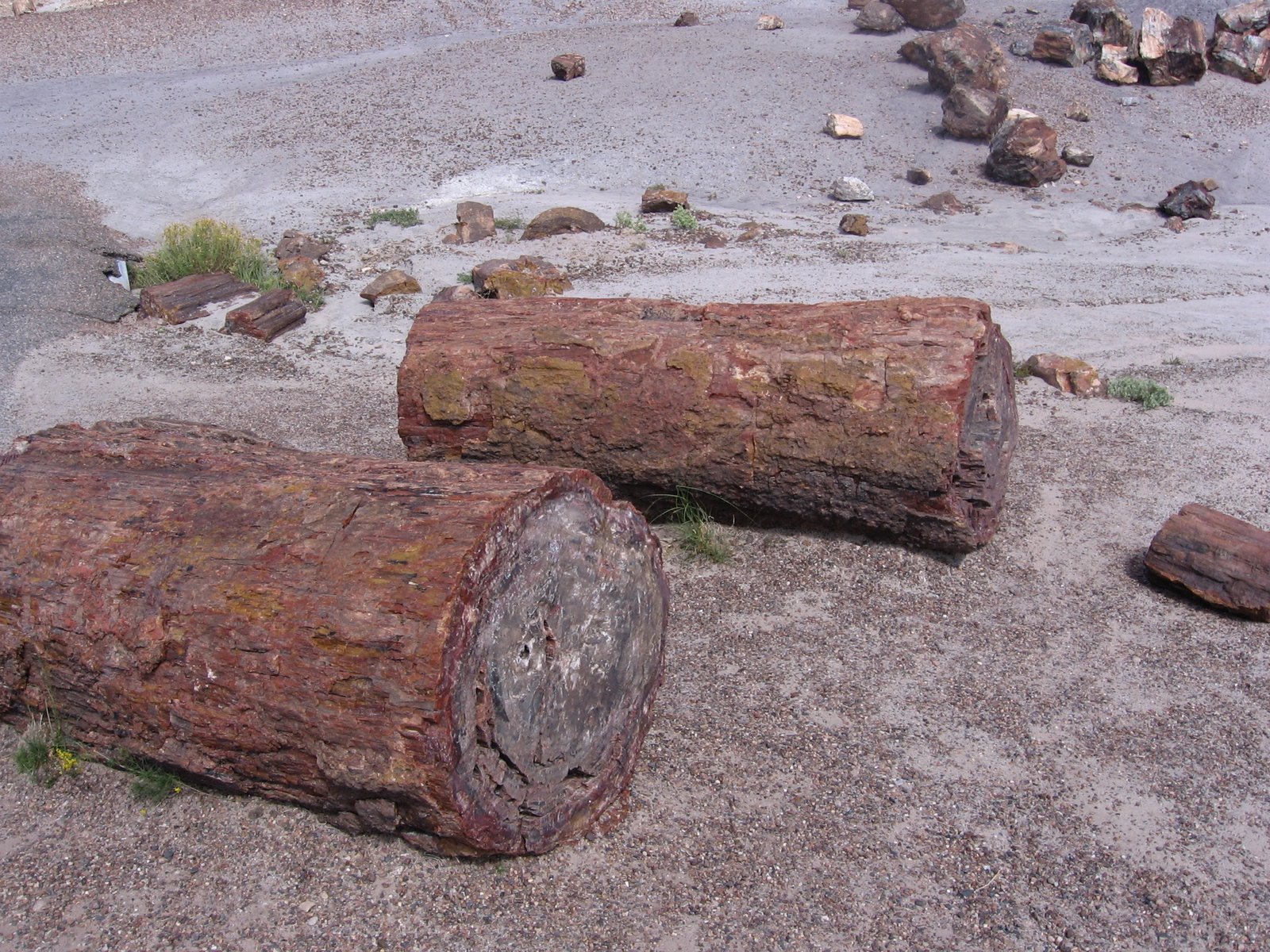 Four Corners Hikes-Navajo Nation: Long Logs and Agate House Trail ...