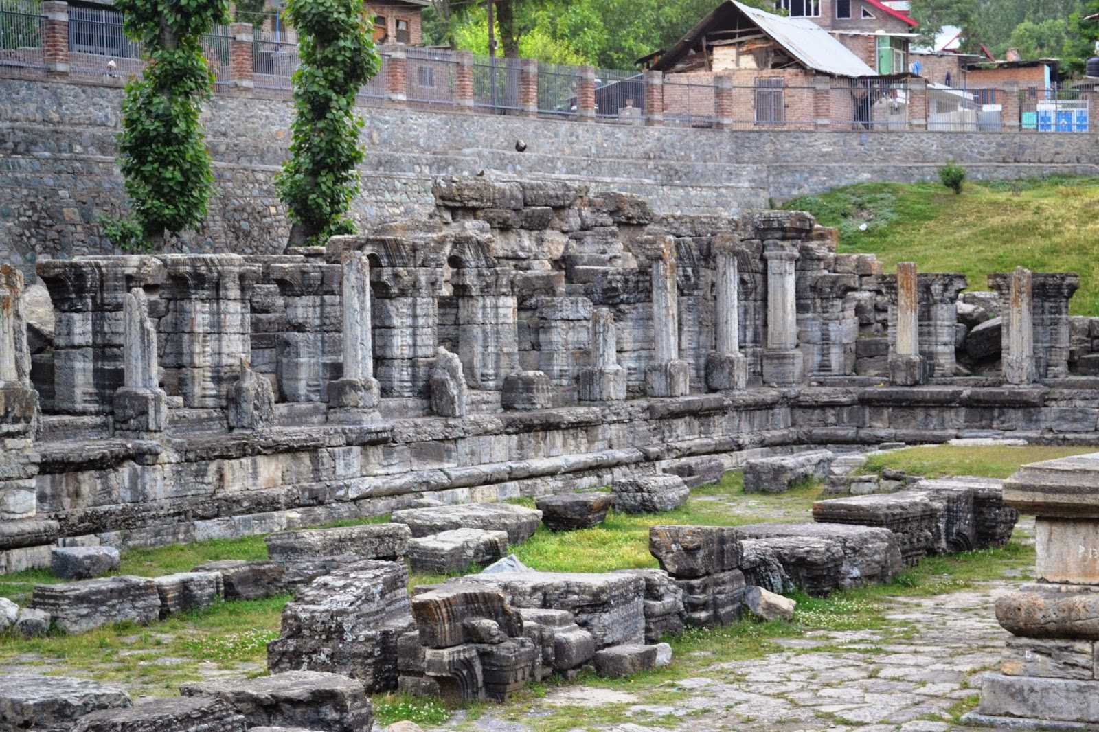 Backpack: Kashmir diary-Ruins of Avantipur, Avantiswamin temple