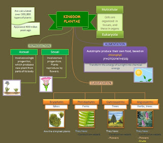 Educative diagrams: Kingdom Plantae