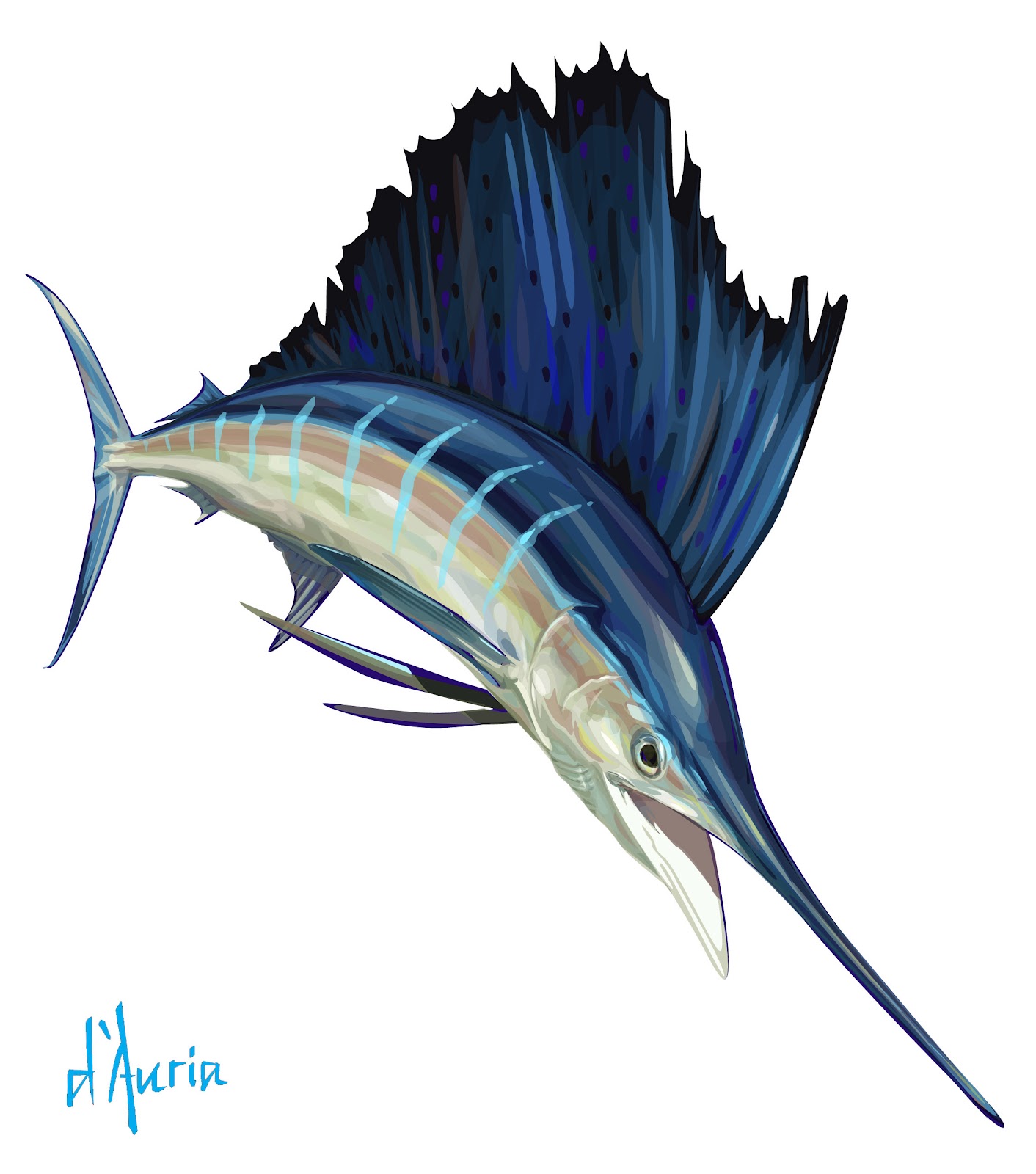 Fish art, Fish drawings, Sailfish painting