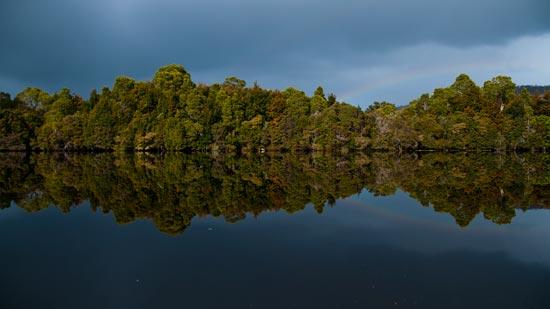 o2 Western Australia: Save the Tarkine Rainforest in Tasmania