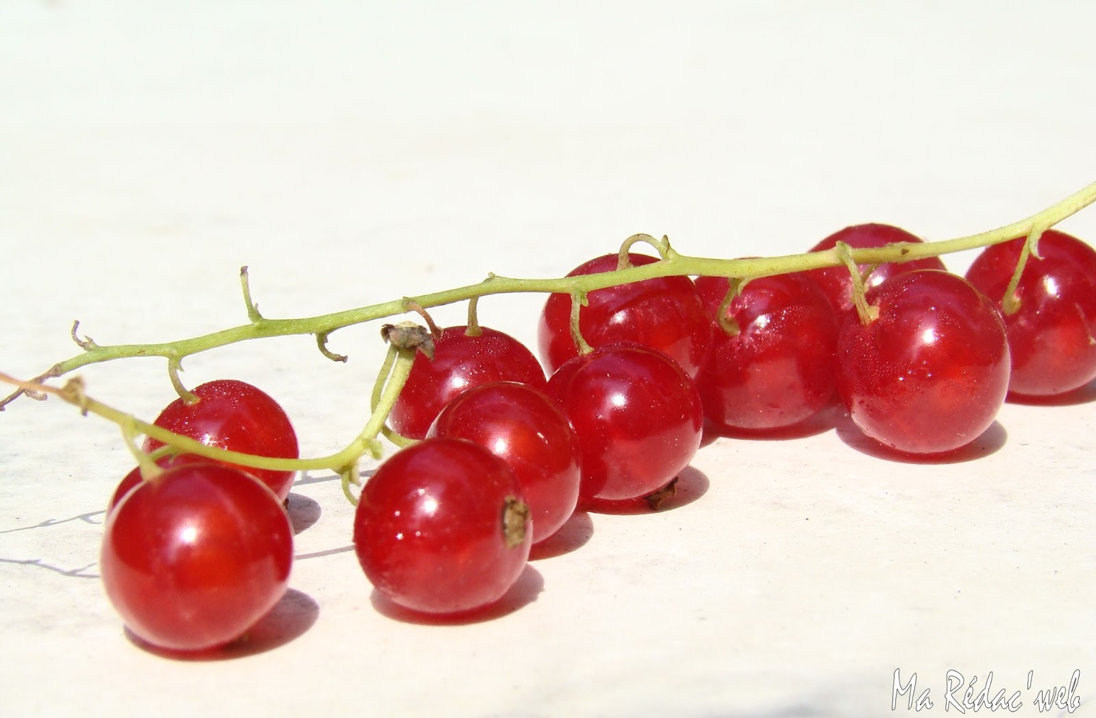 La cueillette des groseilles et 2 recettes en bonus