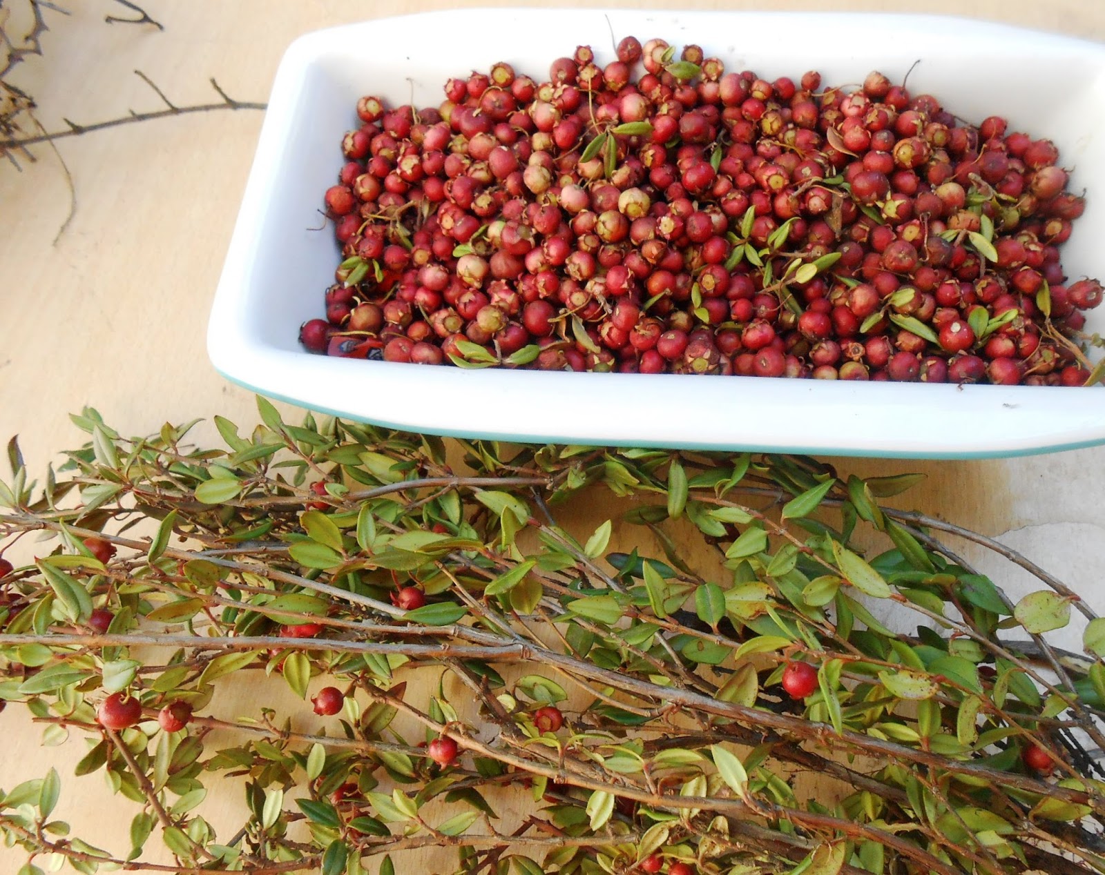 Cocina Chilena . Recetas Caseras: Licor de Murta o murtilla