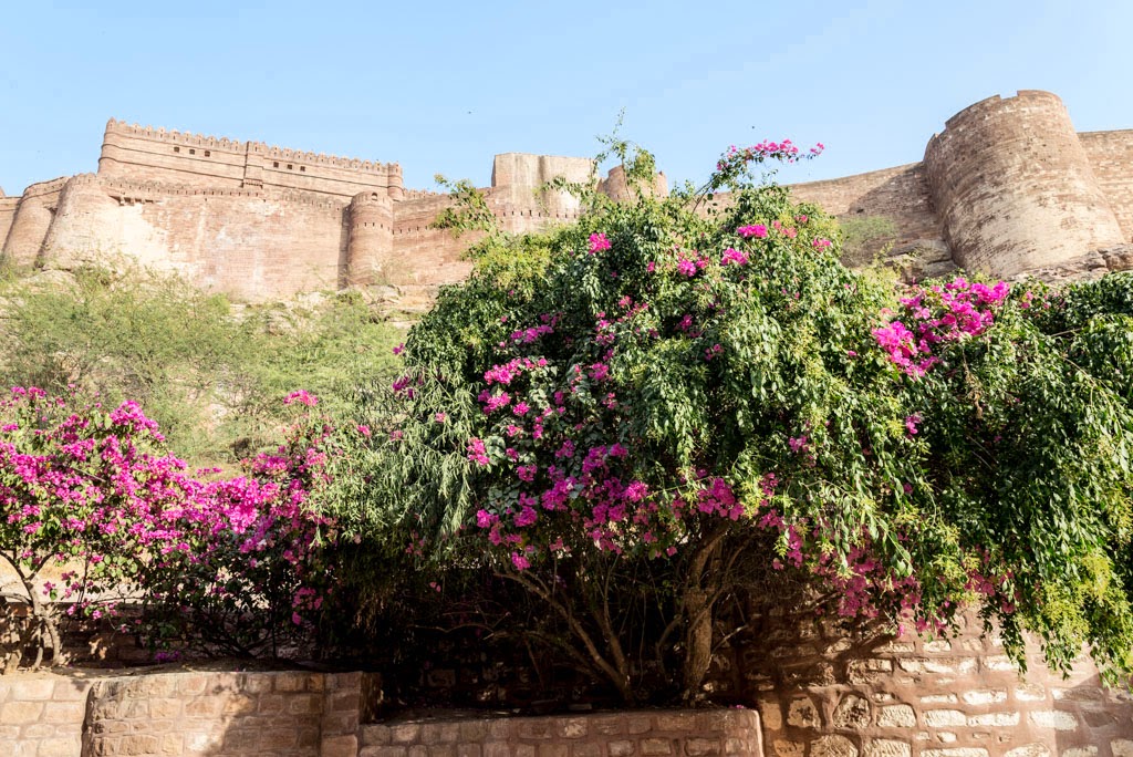 Rajasthan, tra palazzi e forti indiani – Ci vediamo quando torno