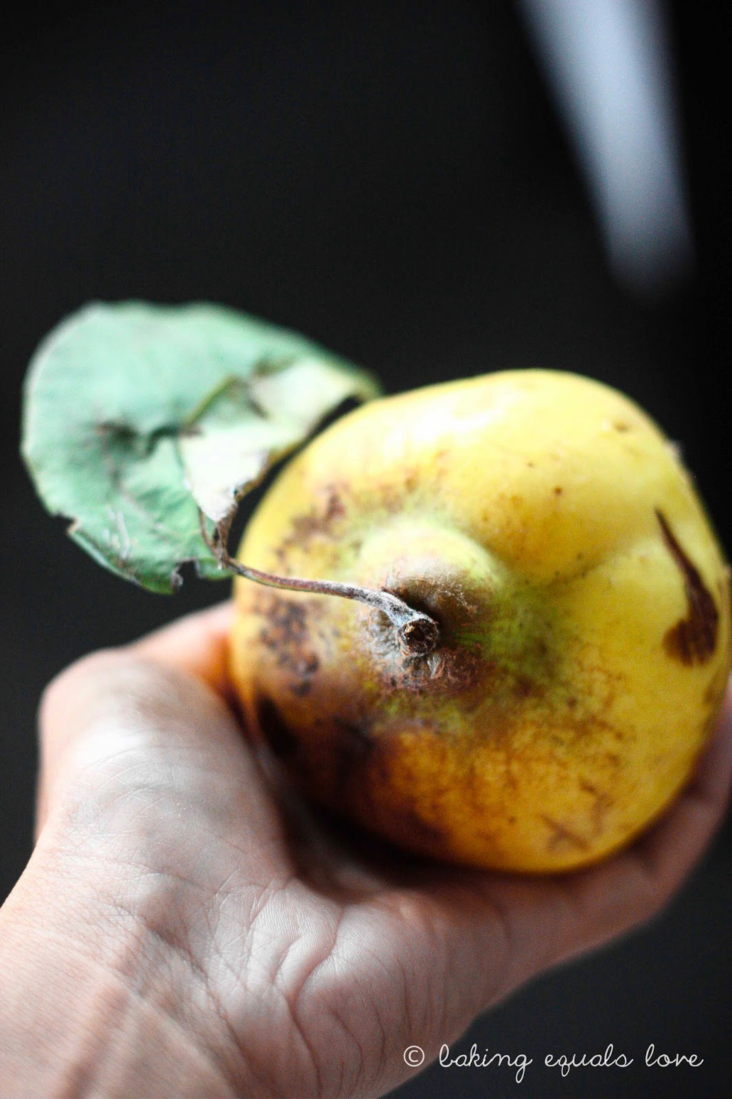 baking = love: The Quintessential Quince: Maple Chardonnay Slow Roasted ...