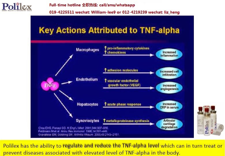 Polilex Spray (宝丽乐喷雾): Politex Product Information / KKM