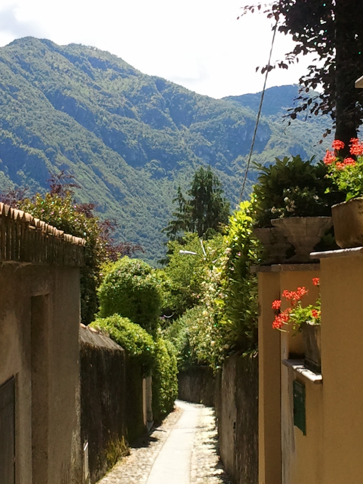 Adventures of a Dumpy Old Broad at Large: LAKE COMO