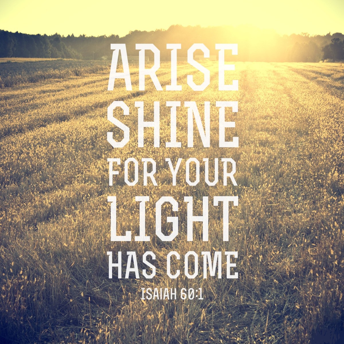 Arise and Shine