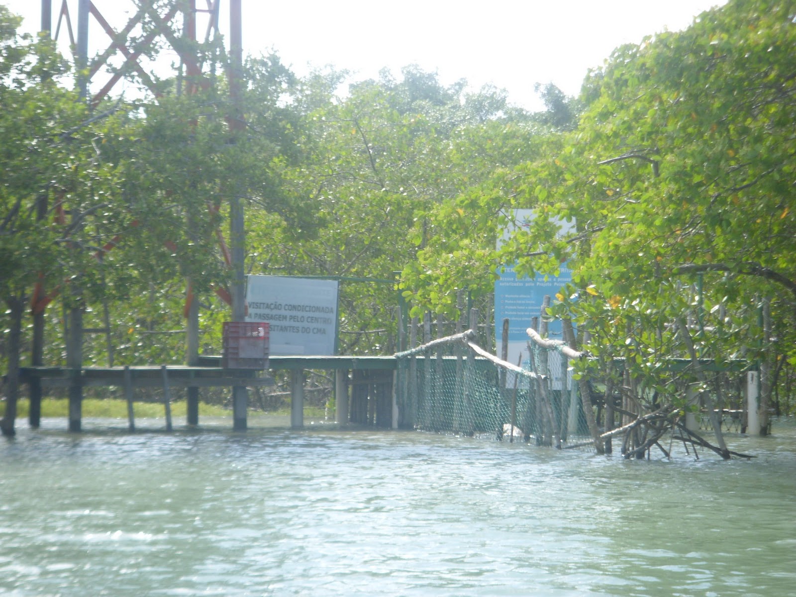 16. APA da Barra do Rio Mamanguape ~ Paraíba em 1000 lugares