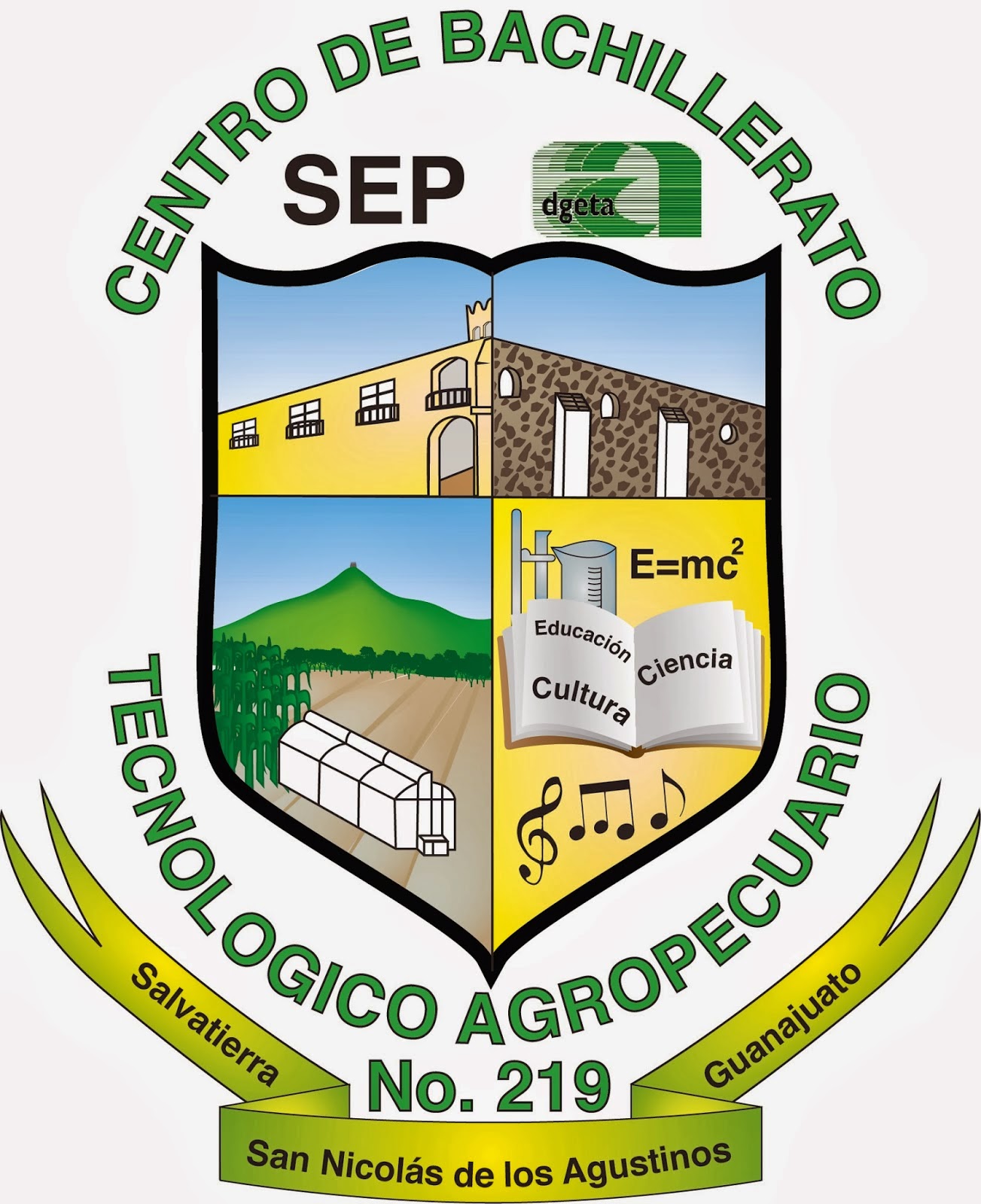 RESPIRACIÓN CELULAR: PORTADA