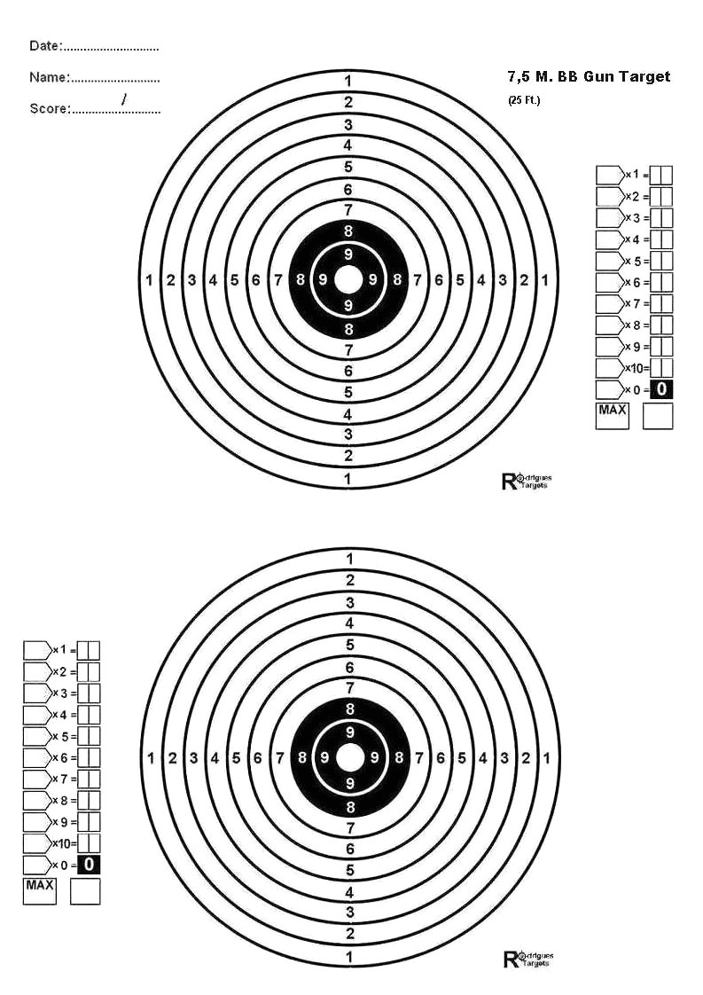 Airsoft Tir I Airsoft România Blog: Ţinte (Targets) pentru replicile cu ...