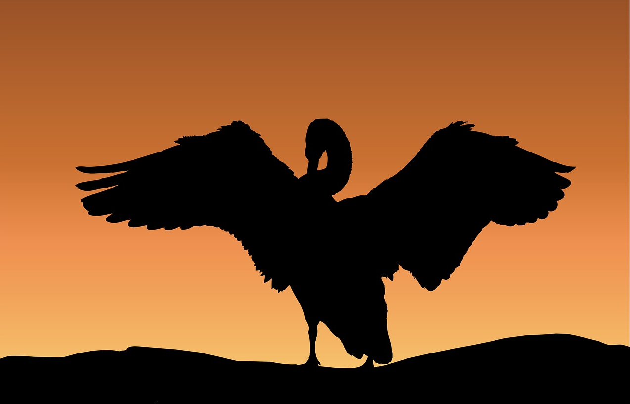 tatty bumpkin-: Tatty Bumpkin's Swan Pose - Stretching tight muscles ...