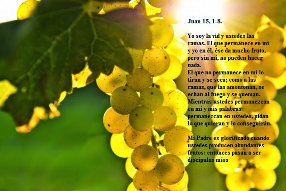 El camino a la salvación!: Juan 15, 1-8. El que permanece en mí y yo en ...