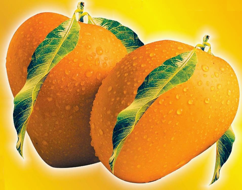 Shades of Vinay's world : Marvelous Mango