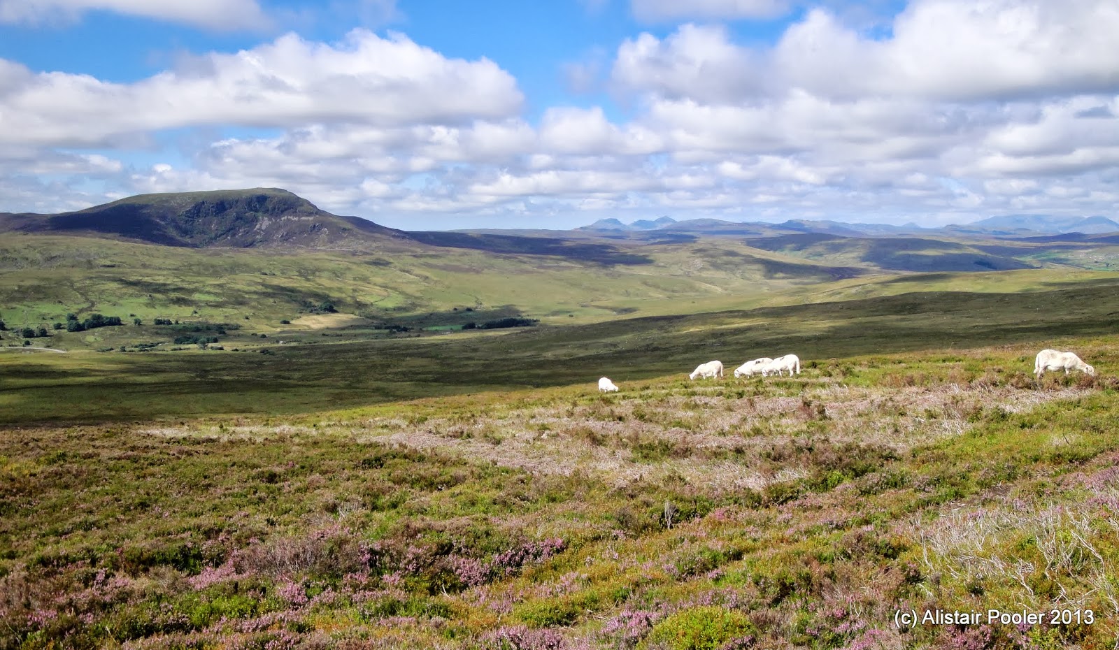 Alistair's Walks: Carnedd y Filiast and Arenig Fach