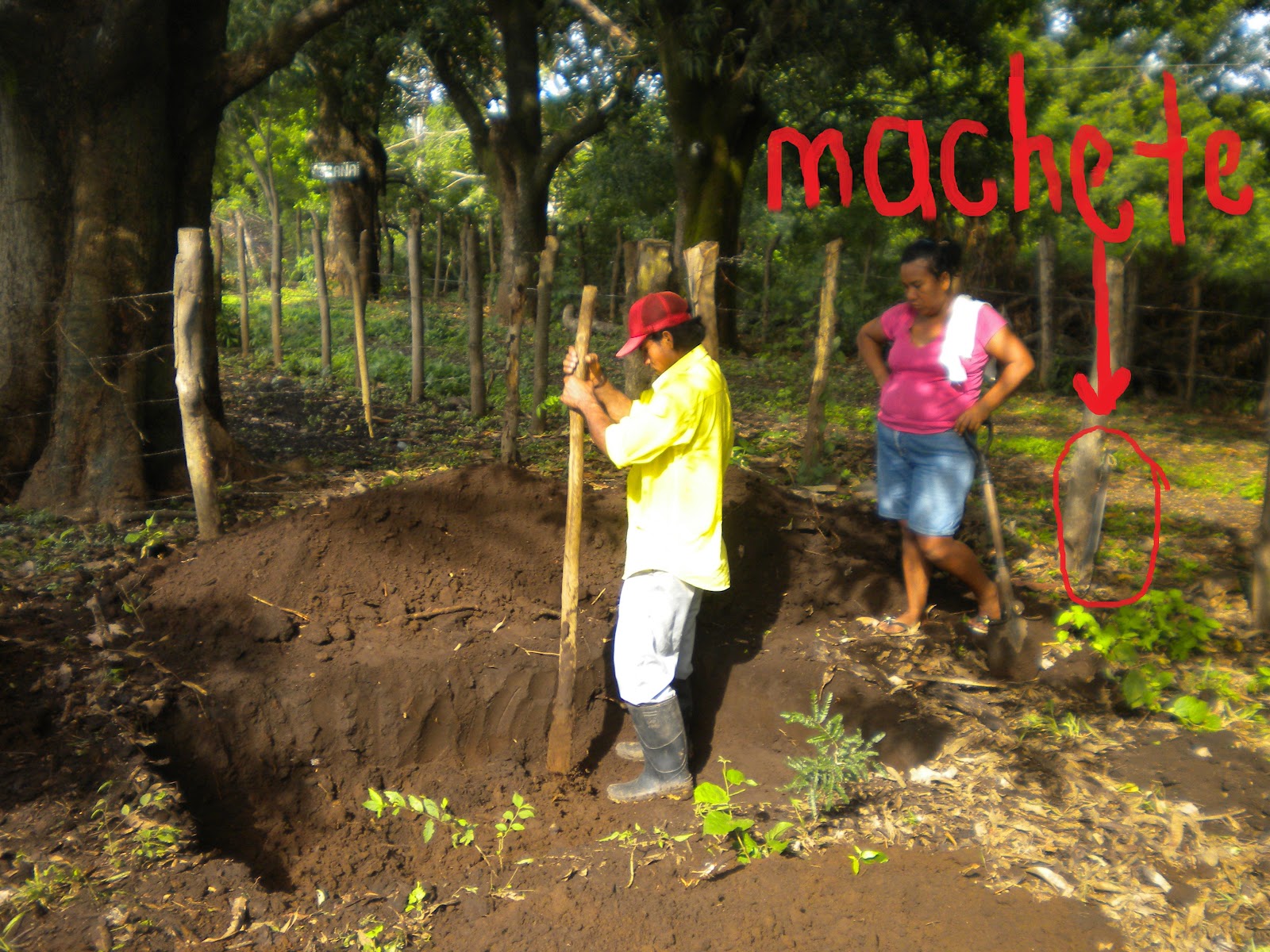 Manda in Nicaragua: The Art of Using a Machete