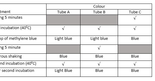 Matriculation Biology: Experiment 16 : Cellular Respiration