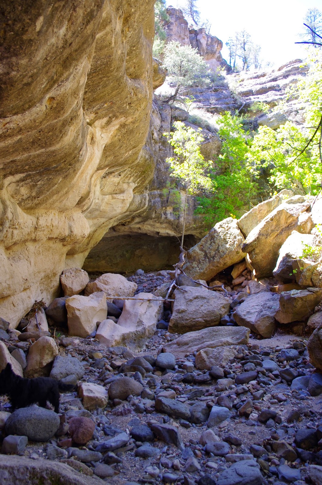 Southern New Mexico Explorer: Lake Roberts Box/Slot Canyons(south side ...
