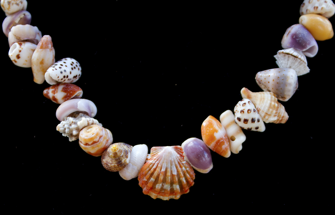 Monica's Blog: Aloha Summer!!!!