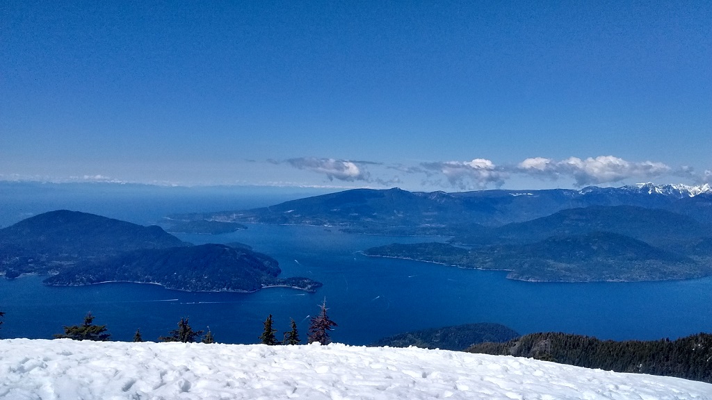 Gangsters Out Blog: Sky Chair on Cypress