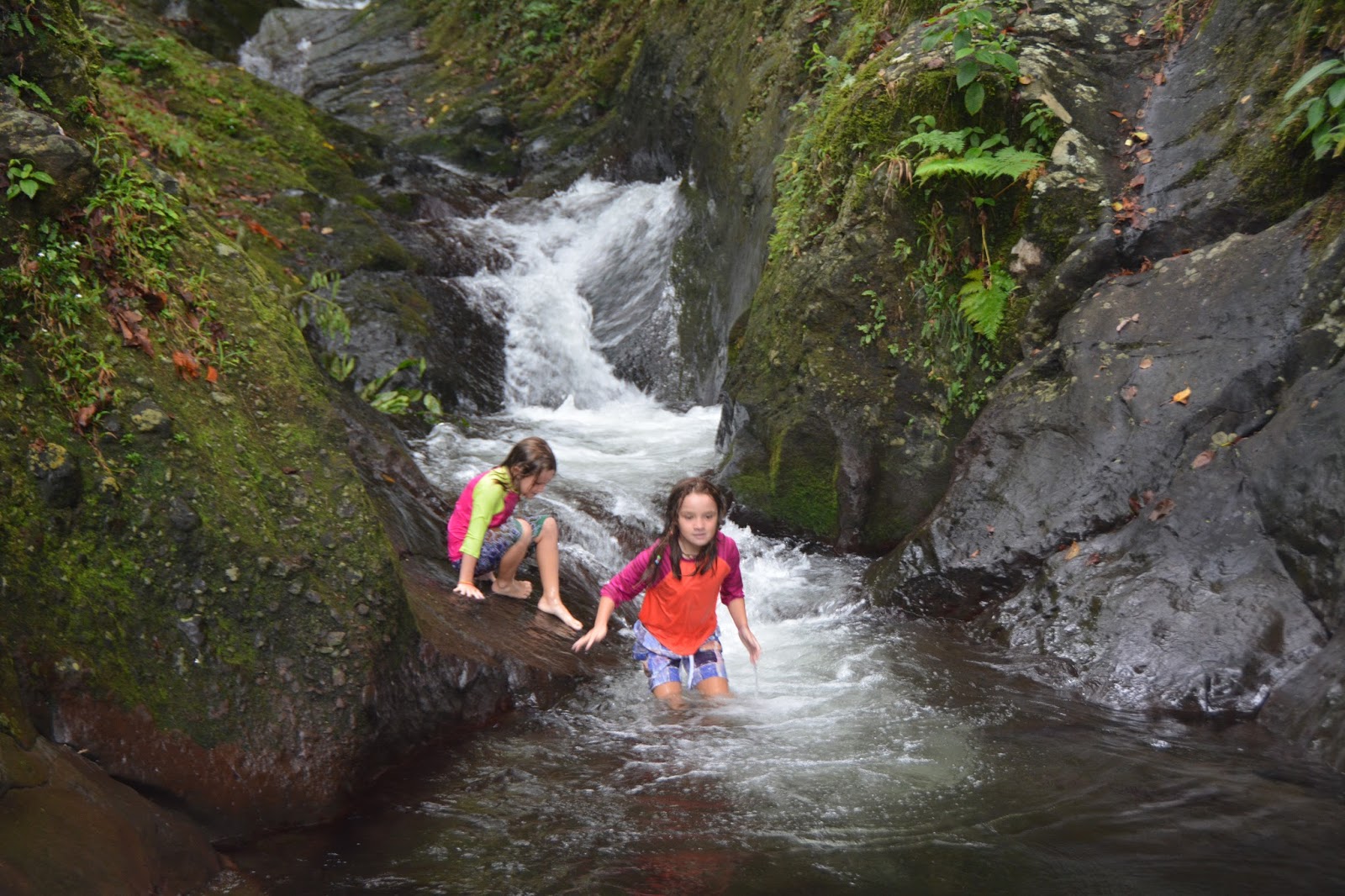 Family Circus: Taveuni Island, Natural Waterslide fun...