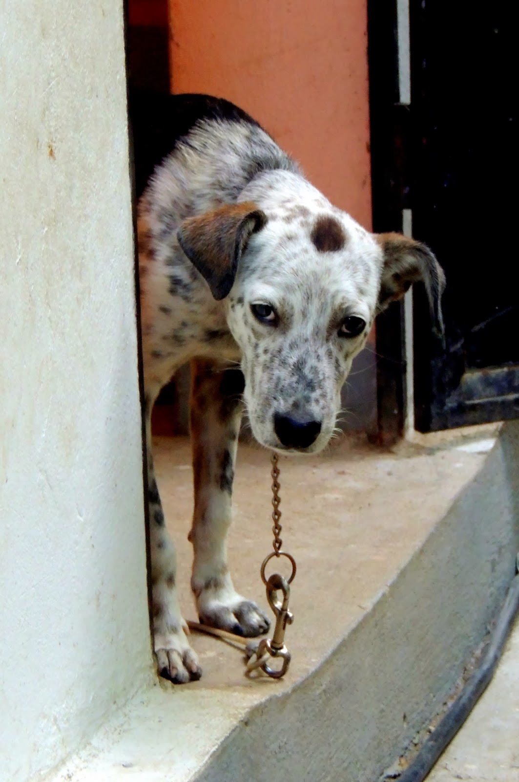 Haiti...and The Hard Walk Part I
