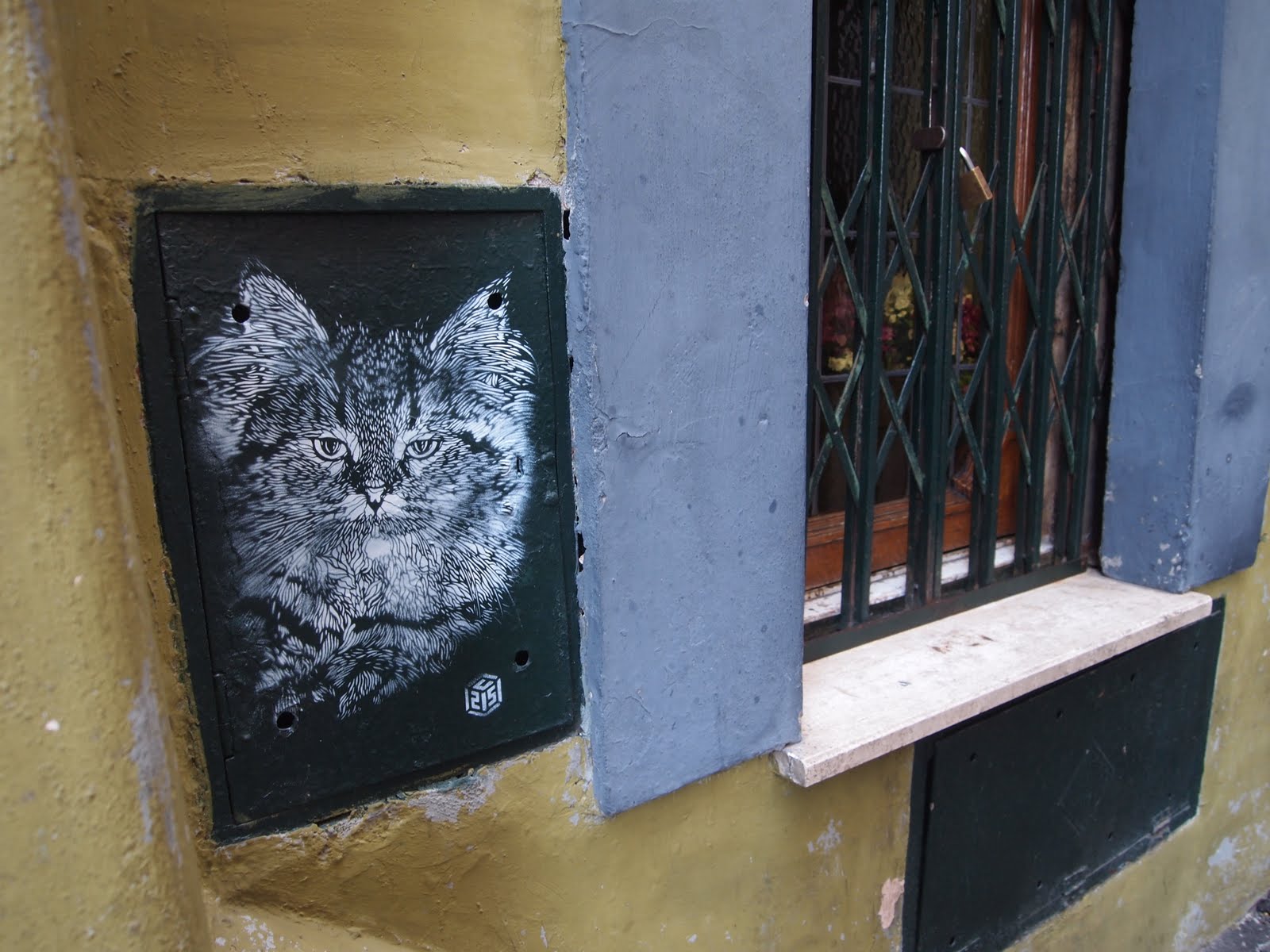 Catsparella: Beautiful Images of Cats in Italy (Reader Submitted)