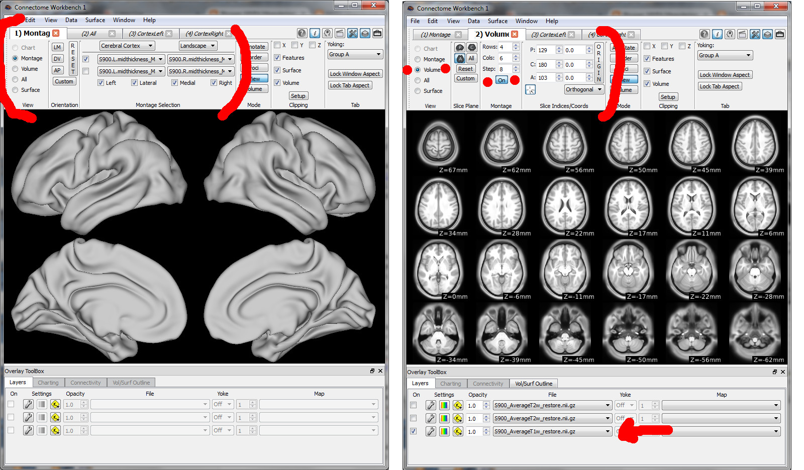 MVPA Meanderings: Getting started with Connectome Workbench 1.2.3
