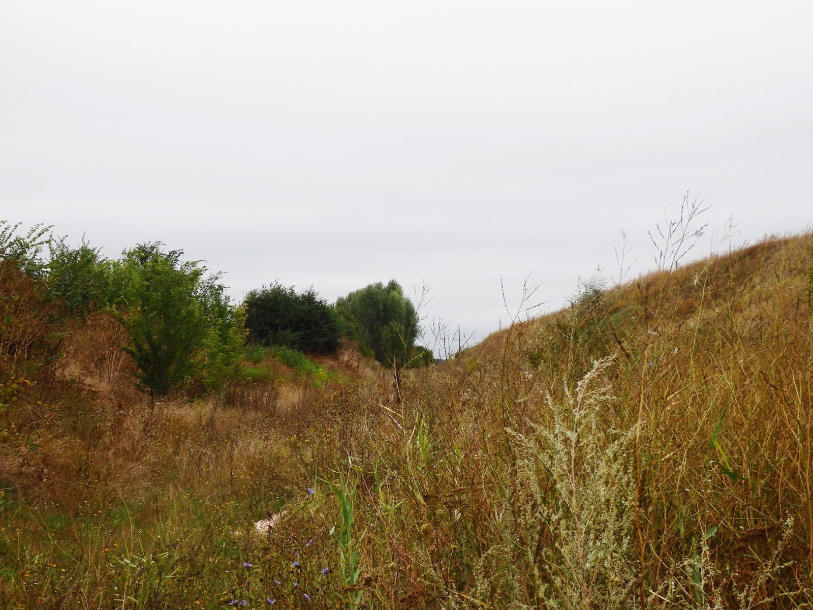 Na stepach Ukrainy ~ Za miedzą i dalej | relacje, informacje, wskazówki ...
