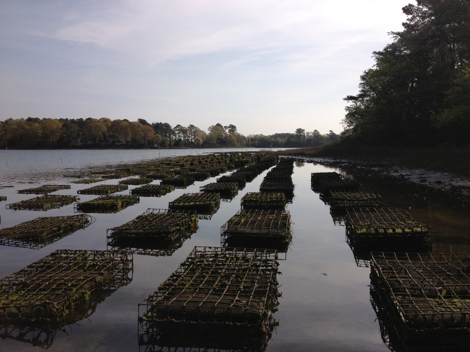 Ostreaphile: Chesapeake Trip