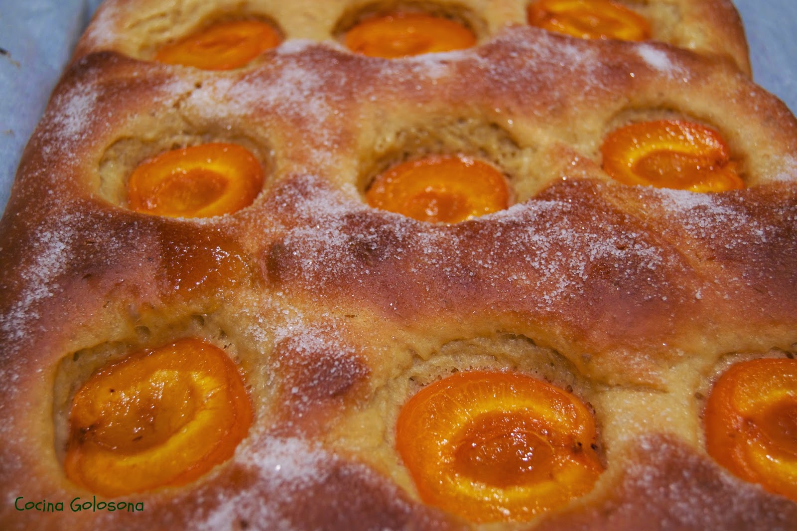 COCINA GOLOSONA: COCA DE PATATA CON ALBARICOQUES