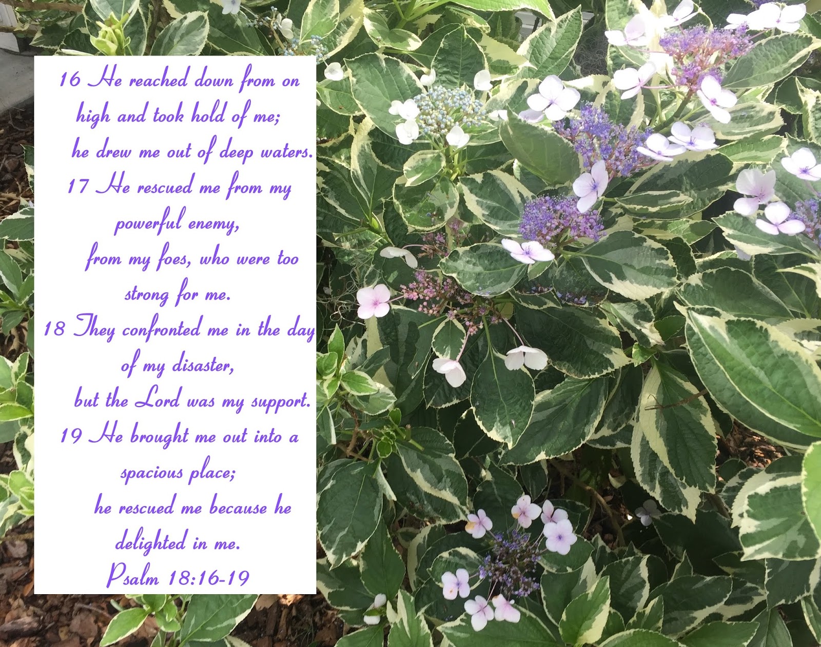 My Strength Psalm 18 Overcome Psalm 18 my-strength-psalm-18-overcome-psalm-18
