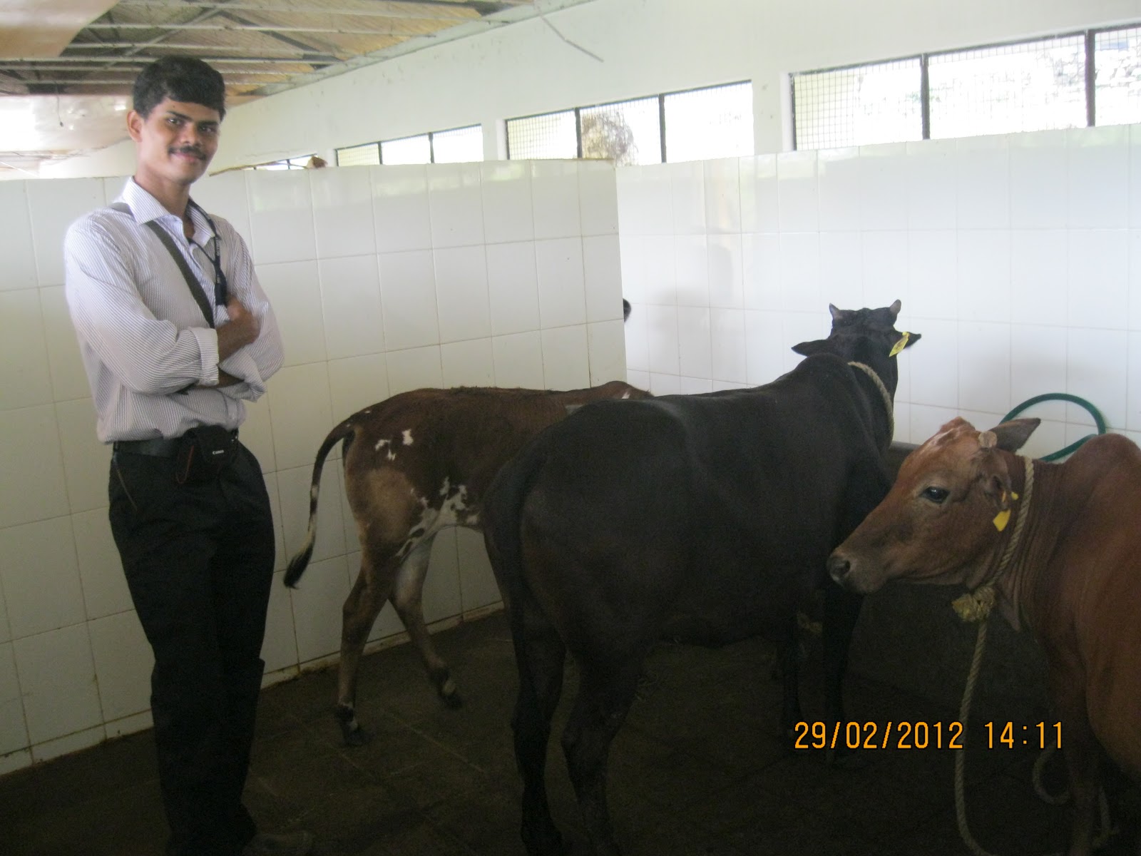 DILROSE BLOG .... visit and subscribe DILROSE VLOG and SHARE YOUR IDEAS ...