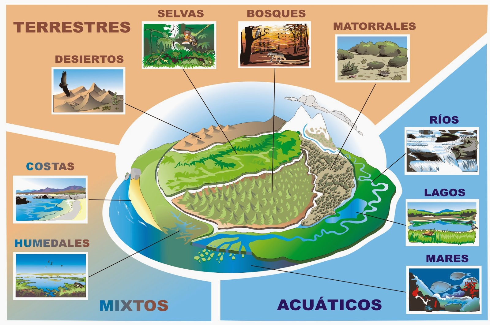 Profesor de Historia, Geografía y Arte: Climas y paisajes naturales.
