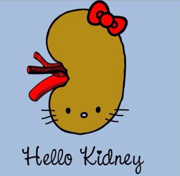 Medical Social Network News: Humerus Я Us, Part 4